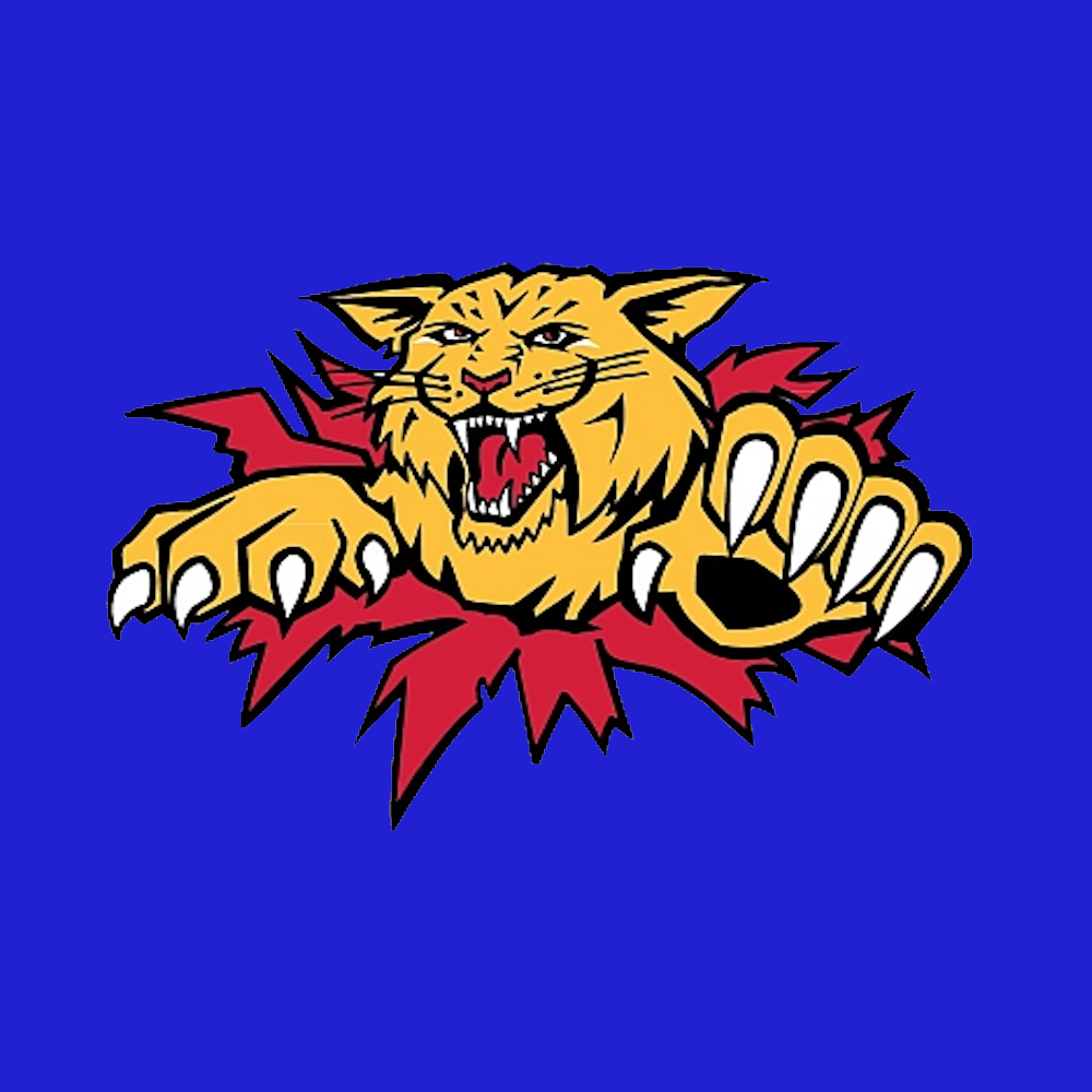 Moncton Wildcats 2025 Roster - BPB Hockey Blog